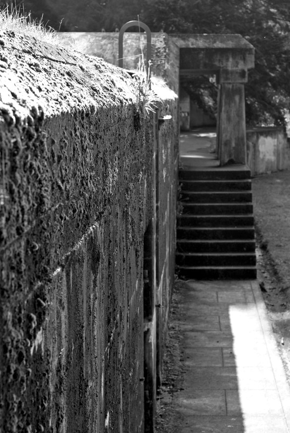 Gallery | Fort Worden: Rebirth Through Decay